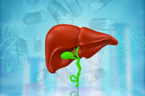 Bauchfell - Bauch.de