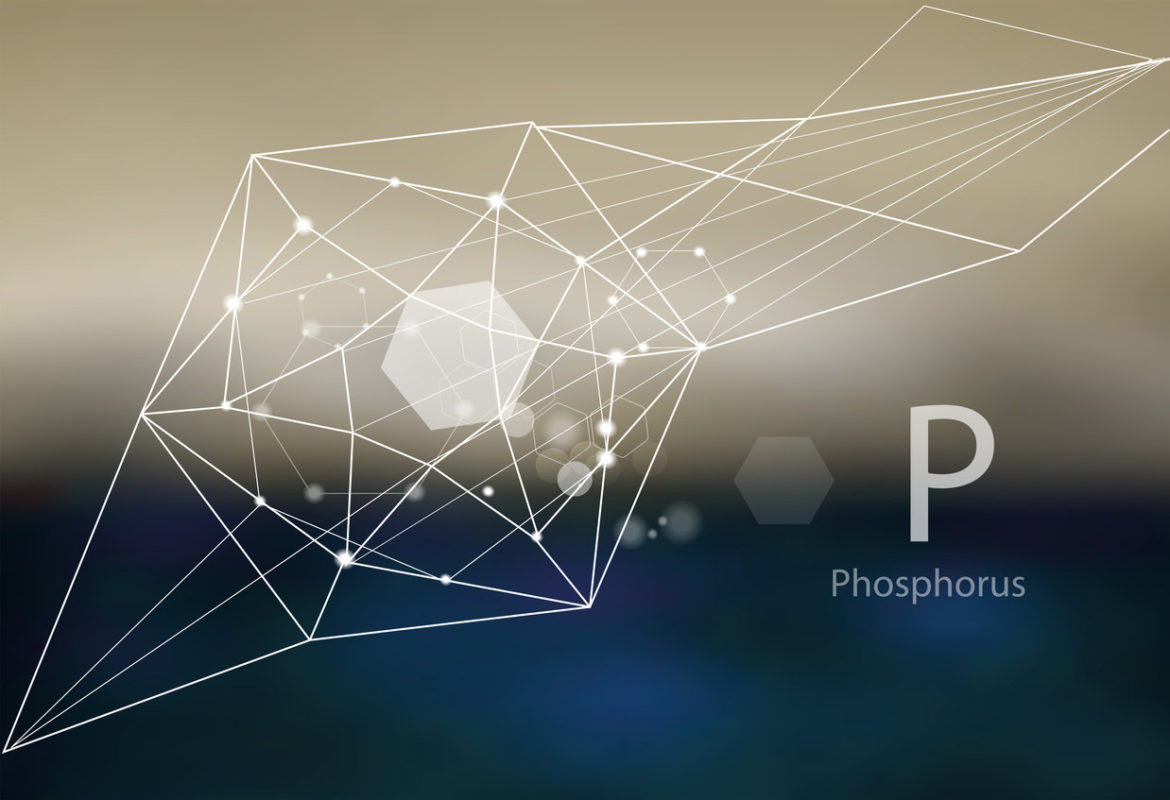 Mengenelement: Phosphor - Bauch.de