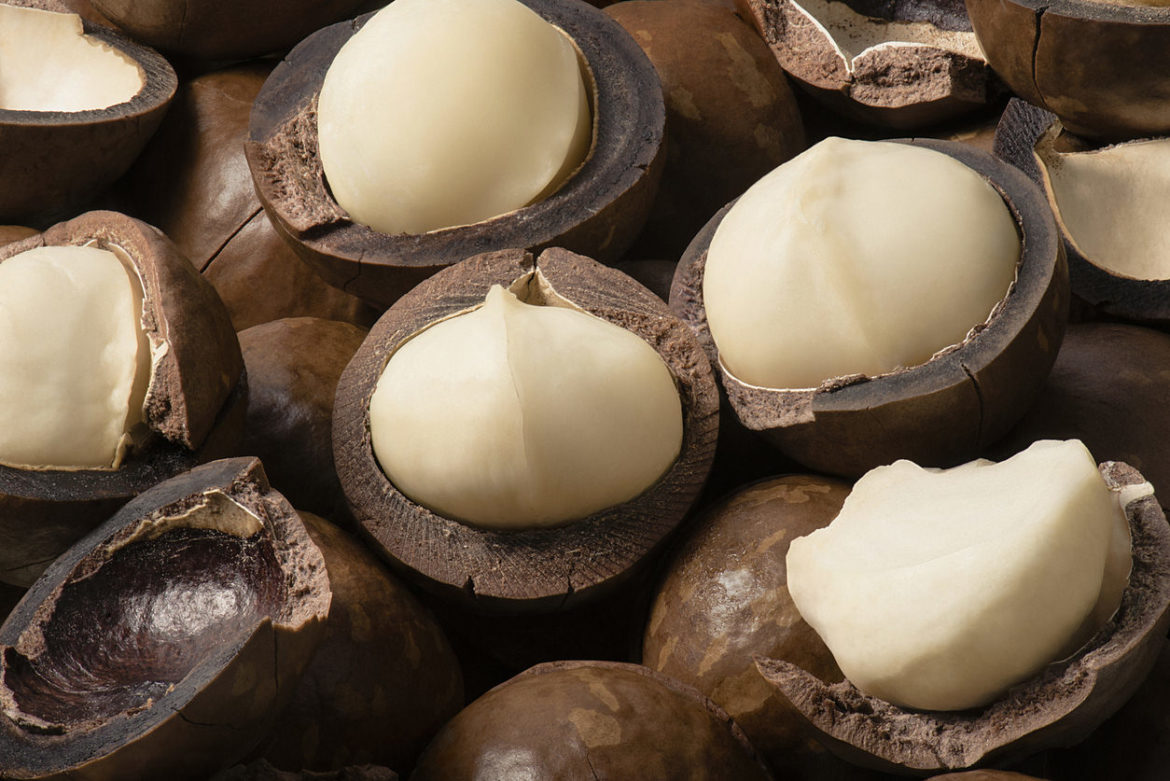 Ist die Macadamia-Nuss gesund? | Bauch.de