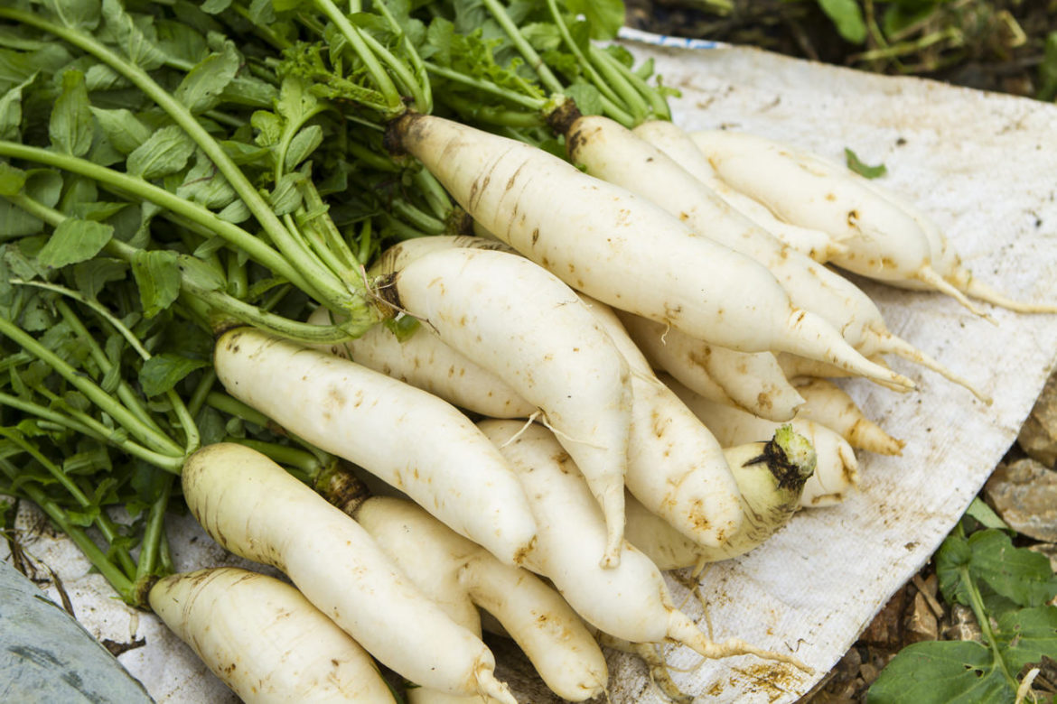 Superfood: Rettich - Bauch.de